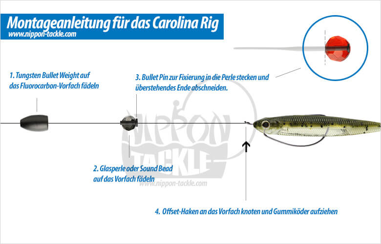 Carolina Rig - Montage & Anleitung